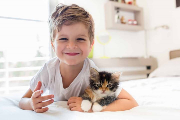 Eine Katze für Kinder: Das ist wichtig • Aus Liebe zum Haustier